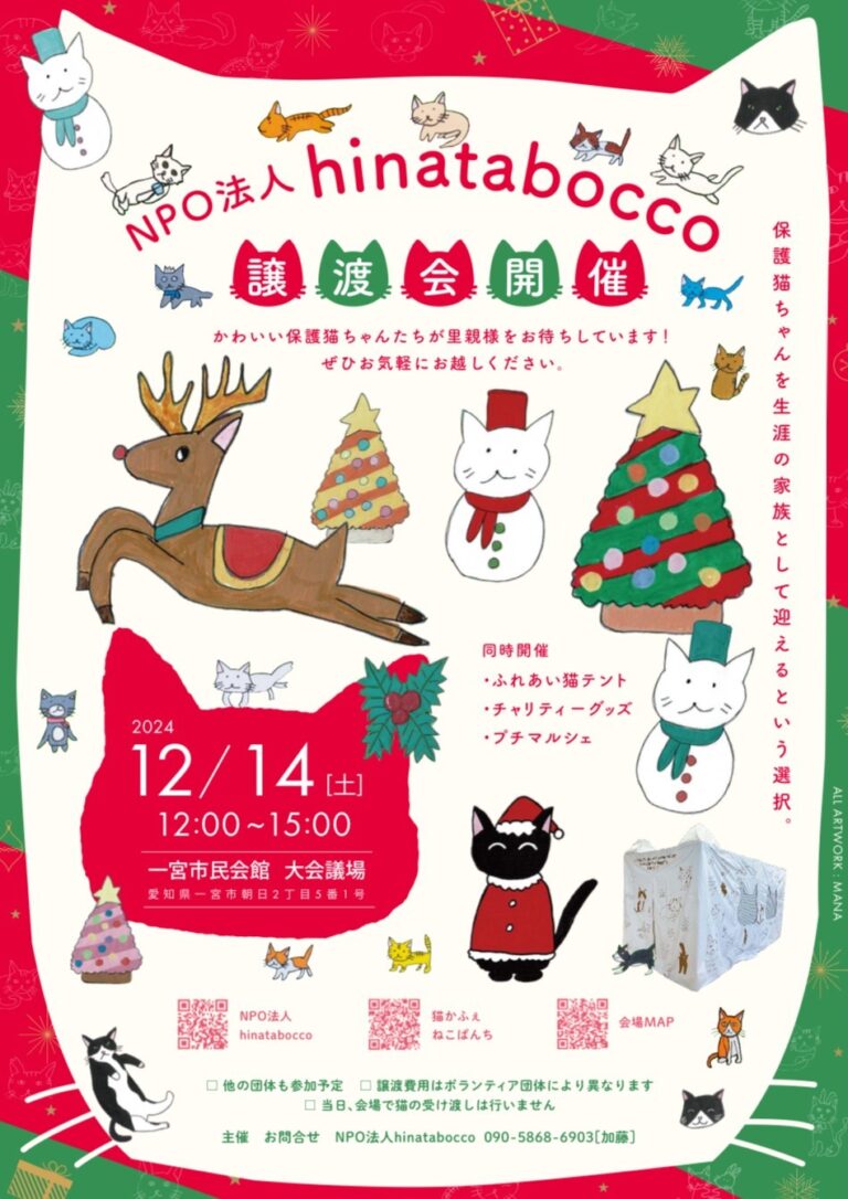 【一宮市】12月14日(土)、NPO法人hinatabocco「猫の譲渡会」が一宮市民会館 大会議室で開催されます！ | 号外NET 一宮市