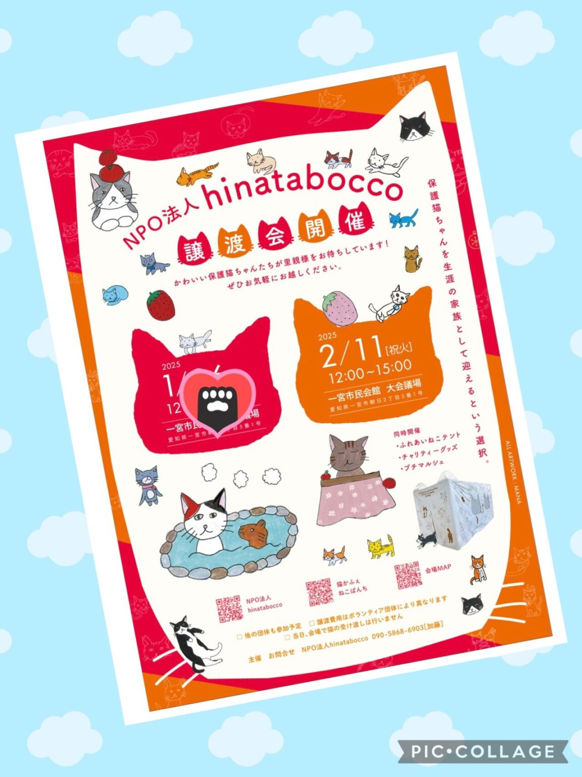 【一宮市】2/11(火・祝)一宮市民会館大会議室にて「NPO法人 hinatabocco 主催 保護猫の譲渡会とプチマルシェ」が開催されます！ | 号外NET 一宮市